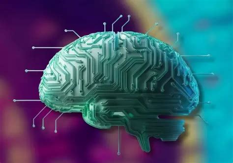 What Is Reinforcement Learning Rl Definition Algorithms Examples