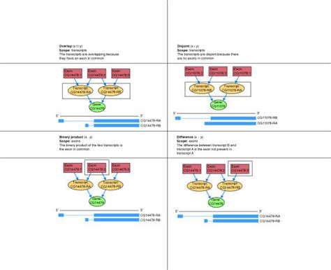Using Em Operations To Characterize Alternatively Spliced Transcripts Download Scientific