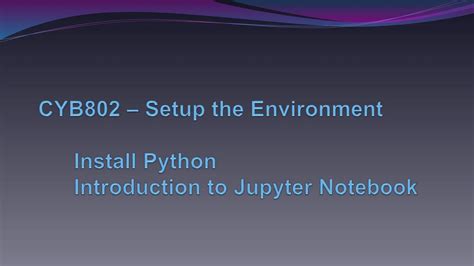 Programming And Secure Software Development Presentation Consists Of