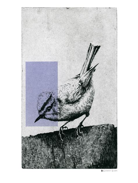 The Firecrest Gravure Originale Estampas And Grabados Por Clement