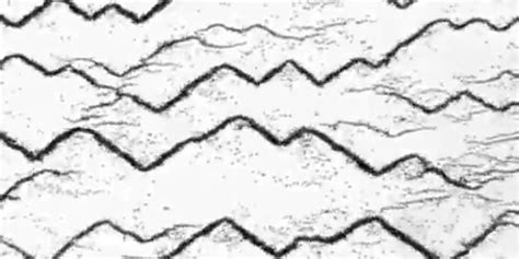 Physics Self Organized Zigzags From Fluid Flow