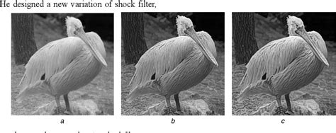 Figure 1 From Shock Filter Based Morphological Scheme For Texture Enhancement Semantic Scholar