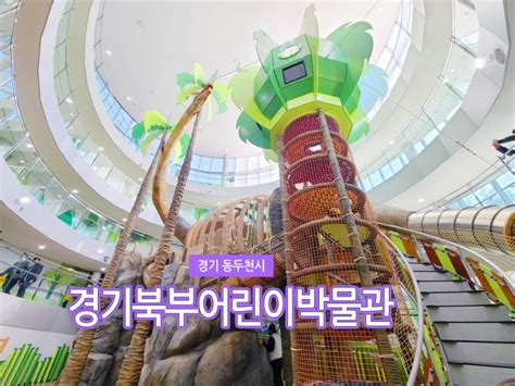 네이버 인플루언서