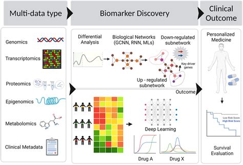 Deep Learning Ensemble Modeling For Precision Medication Ensemble