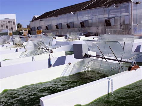 Officials Expansion Of Algae Production Facility Positions Arizona As