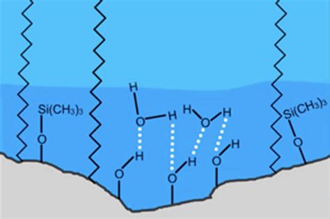 Understanding Stationary Phase Chemistry For Reversed Phase Hplc
