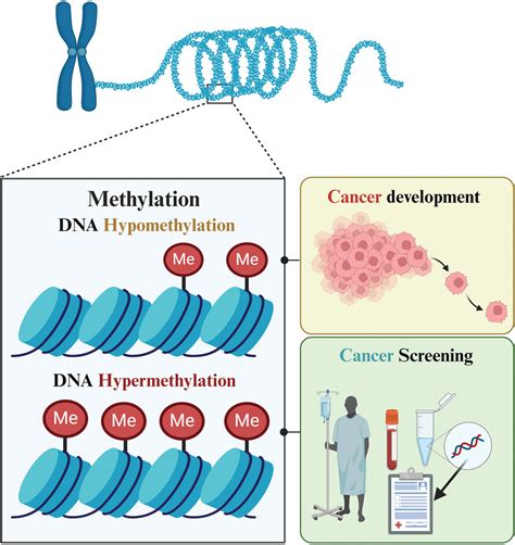 Clinical And Translational Discovery Vol 4 No 1
