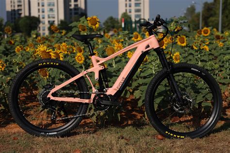 Evolve E Mtbs Ride A Fine Line Between High End Specs And Affordability