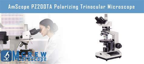 Best Trinocular Microscopes Microscope Crew