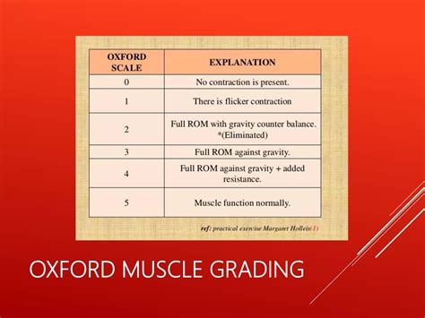 Basic Concepts Of Manual Muscle Testing MMT PPT