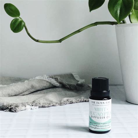 Mint Eucalyptus Diffuser Oil The Body Bar