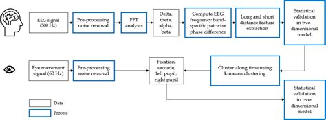 Recognition Of Emotion By Brain Connectivity And Eye Movement