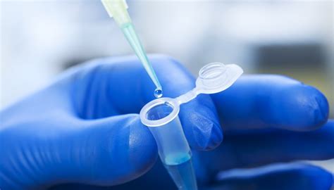The Structure And Function Of Mrna Sciencing