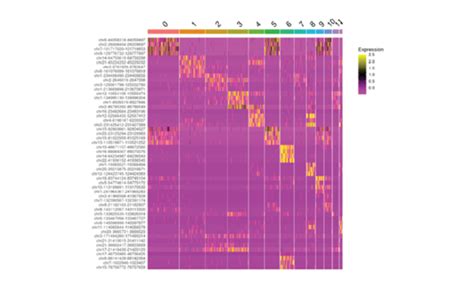 Advanced Bioinformatics Solutions For Single Cell Research