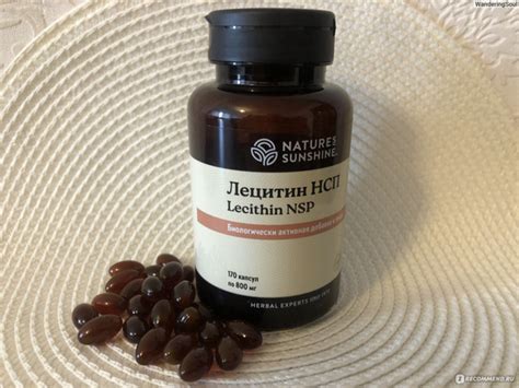 Лецитин НСП Lecithin NSP - купить с доставкой по выгодным ценам в ...