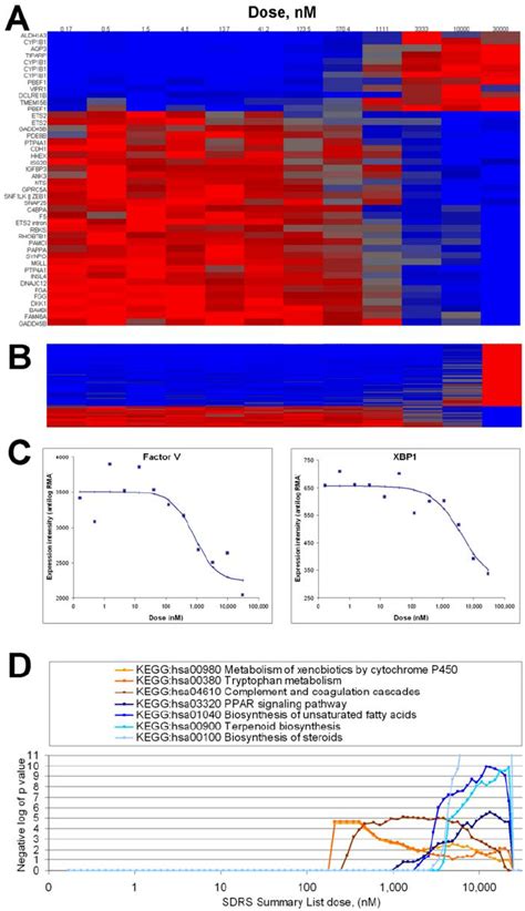 Dose Dependence And Pathway Analysis Of The Transcriptional Response To