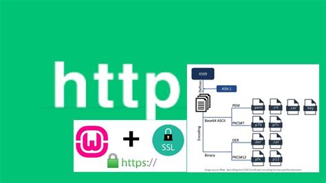 setup virtualhost with ssl on wamp server techdirectarchive