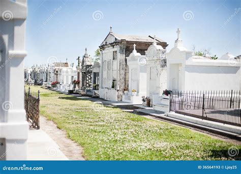 New Orleans Cemetery Stock Image Image Of Buildings 36564193