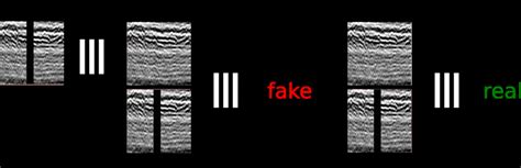 the generator g receives an image x with missing seismic traces at the