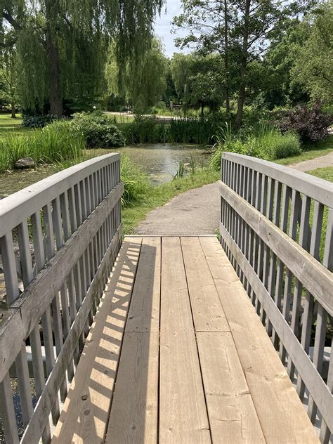 Spring Bridge Weeping Free Photo On Pixabay Pixabay