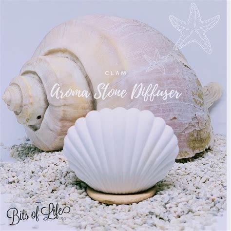 Bits Of Life Aroma Stone Diffuser Clam Shopee Malaysia