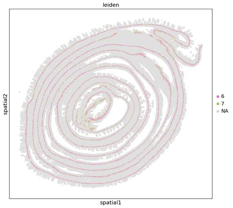 Visium Hd Mouse Small Intestine 8 Um And 16 Um Cell Type Clustering