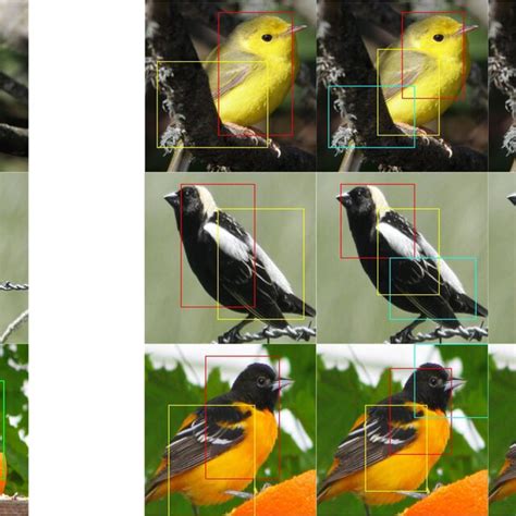 The Method Of Decoupled Logit Distillation We Decouple The Logit Download Scientific Diagram