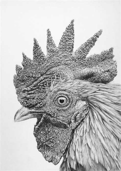 Quick And Simple Chicken Drawing Tutorial Unleash Your Inner Artist
