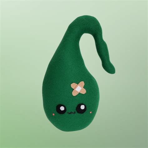 Cute Kawaii Gallbladder Plush Organ Pillow Gallbladder Removal Get