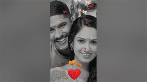 Lagir Zal Ji Shital And Ajinkya ️ Youtube