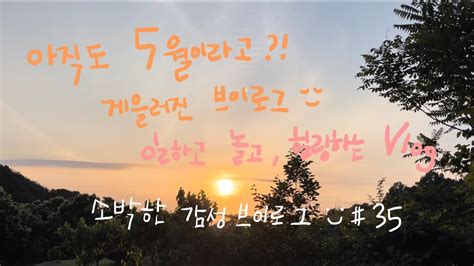 Vlog 게을러진 브이로그 편집 아직도 5월 일하고 놀고 힐링하는 일상 프리랜서라 가능한 삶 청양 노지캠핑 고운