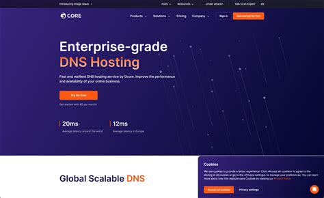 13 premium dns hosting low latency and faster performance