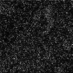 Sample Noise Flow Add To SIDD Raw Image Problem Using The Pre Train Model Provided Issue