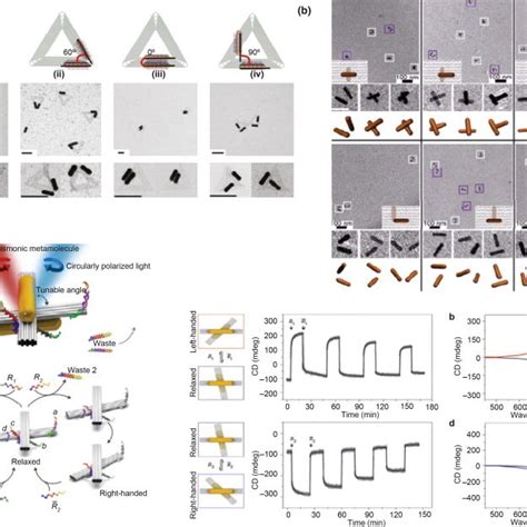 Dna 2d Arrays Templated Fabrication Of Plasmonic Nanostructures A
