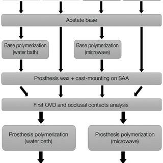 Procedures Of The Polymerization Process Used In Each Group Download Scientific Diagram