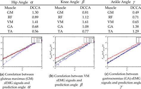 Detrended Cross Correlation Analysis Dcca Index Between Predictive