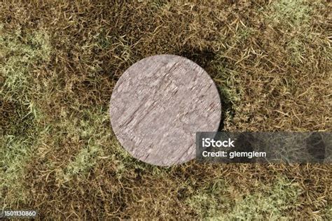 Abstact 3d는 여름 장면과 자연 연단 배경을 렌더링합니다 제품 전시 광고 화장품 등을 위한 마른 잔디밭에 나무로 되는 연단 0명에 대한 스톡 사진 및 기타 이미지