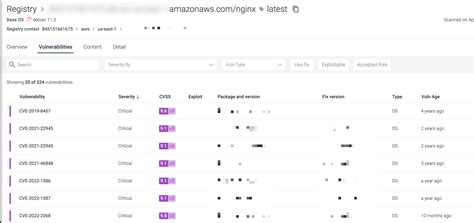 Registry Sysdig Docs