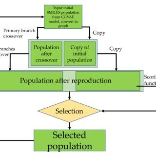 The Schematic Map Of Our Genetic Algorithm Download Scientific Diagram