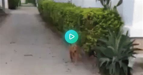 i am not even mad that s amazing album on imgur