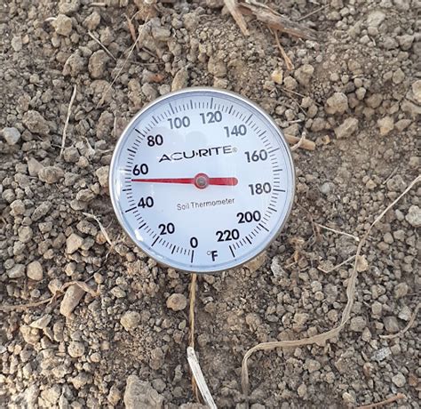 Soil Temperature And Why It Matters Maryland Grows