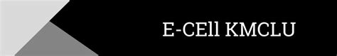 E Cell Kmclu Linkedin