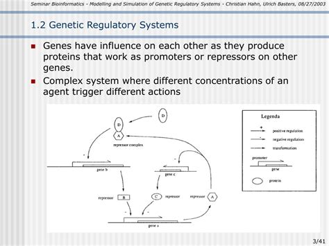 Ppt Modeling And Simulation Of Genetic Regulatory Systems Powerpoint