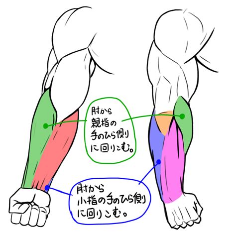 How To Draw Muscles Step By Step Drawing Guide By Kingtutorial Artofit