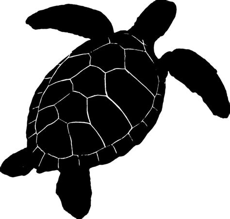 Free Download Vector Turtle Shapes Turtle Vector Shapes Shapes Free Download Vector Turtle Shapes Turtle Vector Shapes Shapes