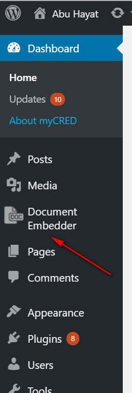 Document Embedder BPlugins