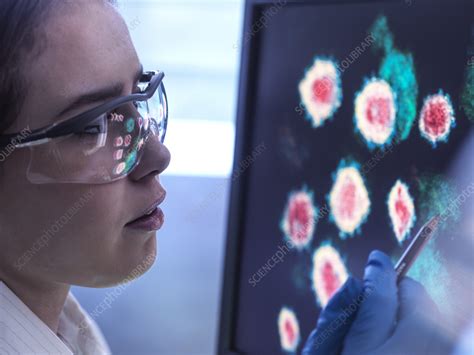 Virus Research Conceptual Image Stock Image F0419378 Science