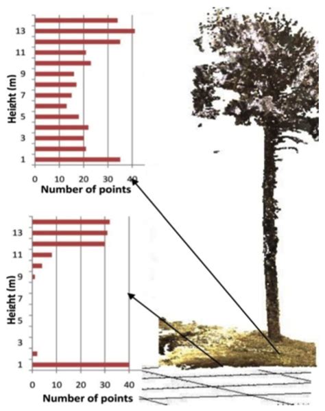 Automatic Detection And Parameter Estimation Of Trees For Forest Inventory Applications Using D