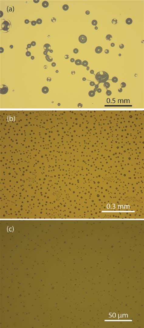 Blistering Defect In Coating