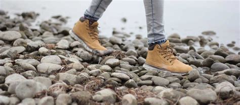 Contact Us Ebus Academy